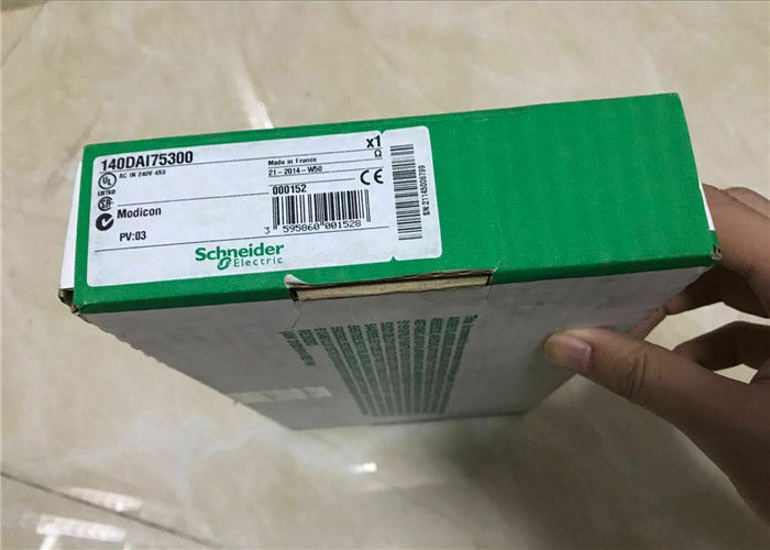 Schneider Electric Input Module 140DAI75300 PV 03 RL 07 AC Input 230 95 ...