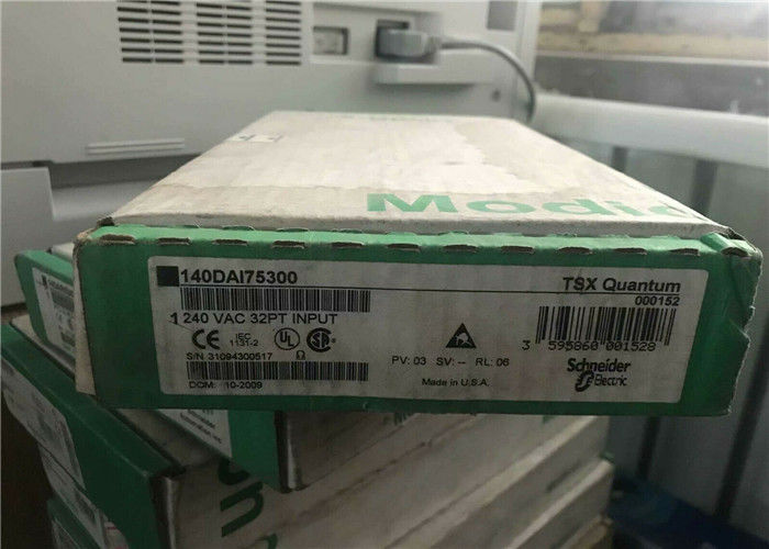 Schneider Electric Input Module 140DAI75300 PV 03 RL 07 AC Input 230 95 ...